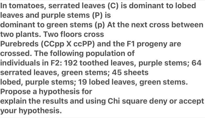 Solved In tomatoes, serrated leaves (C) is dominant to lobed | Chegg.com