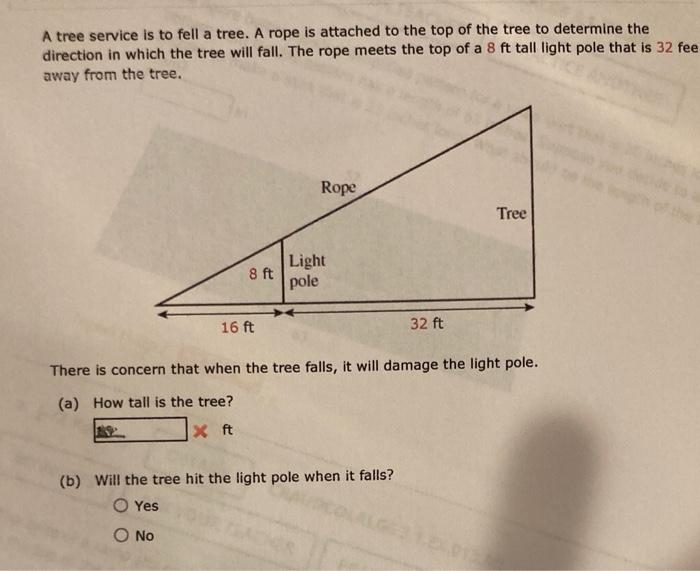 Solved A tree service is to fell a tree. A rope is attached | Chegg.com