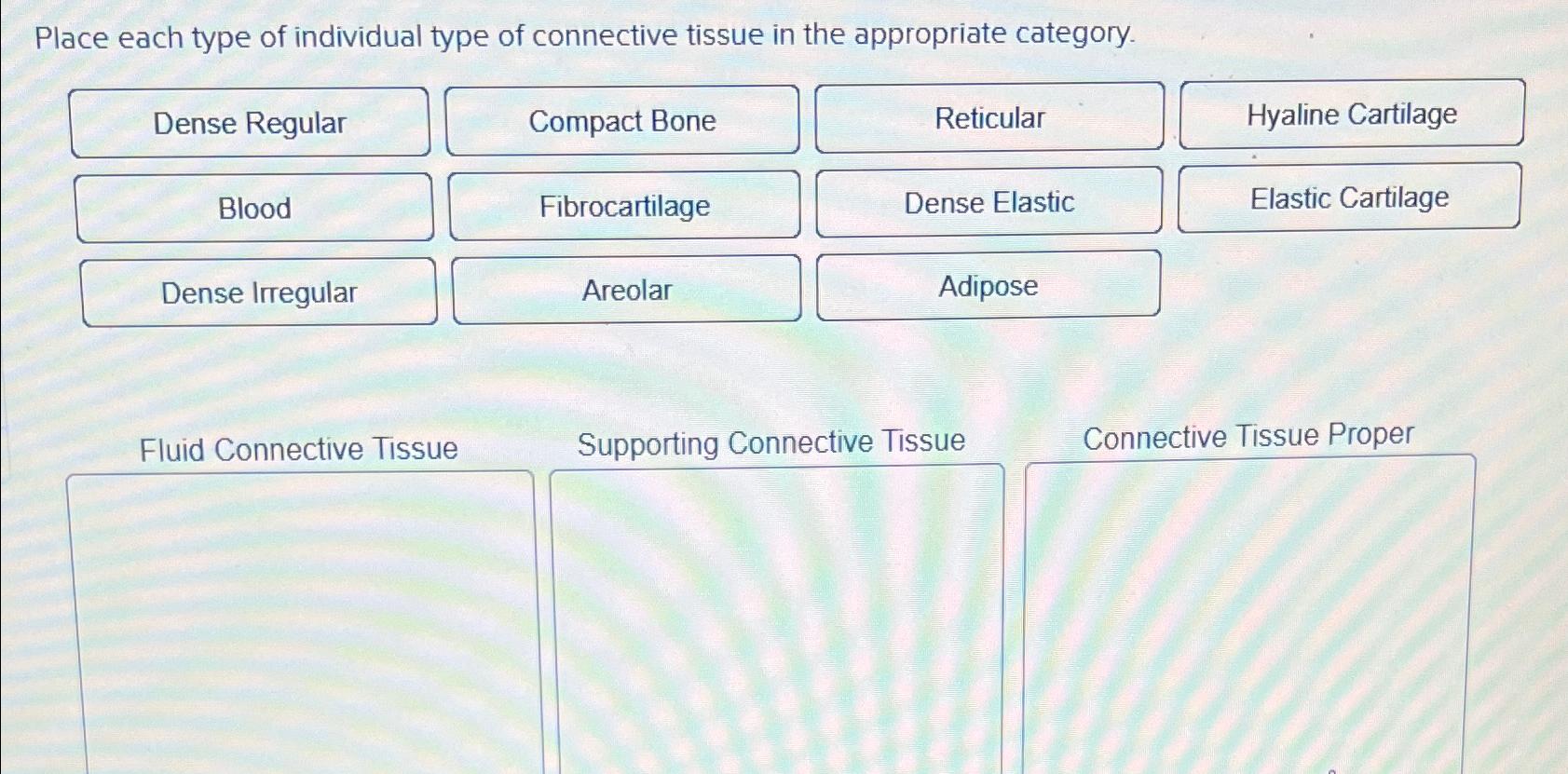 Solved Place each type of individual type of connective | Chegg.com