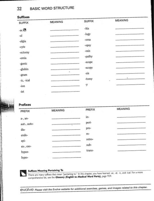Solved BASIC WORD STRUCTURE Suffices Meaning Pertaining To | Chegg.com