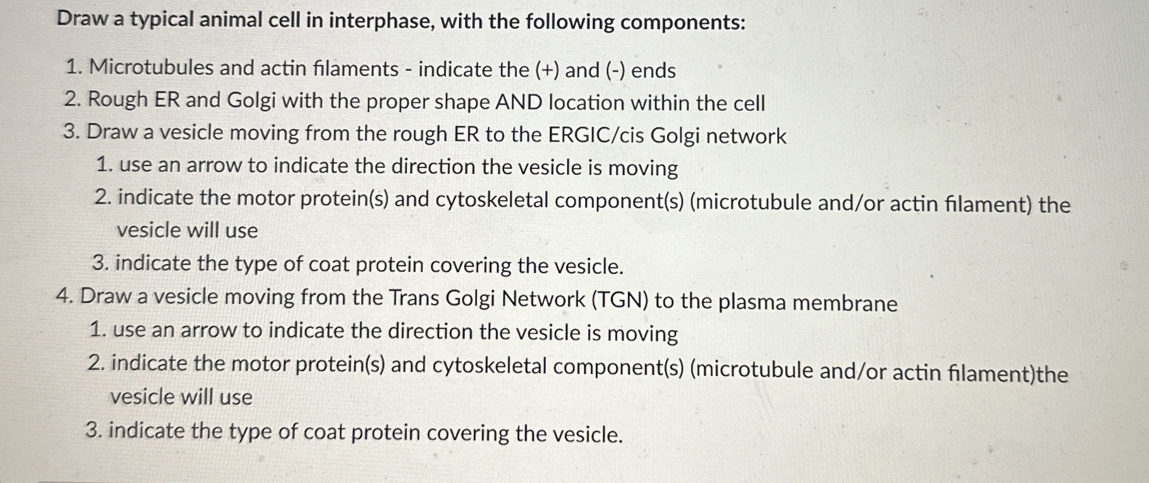 Solved Draw a typical animal cell in interphase, with the | Chegg.com