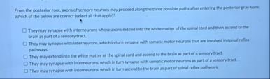 Solved From the posterior root, axons of sensory neurons may | Chegg.com