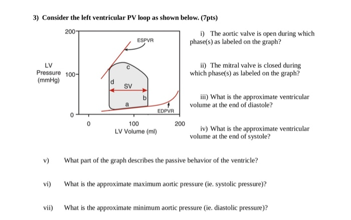 Solved 3) Consider the left ventricular PV loop as shown | Chegg.com