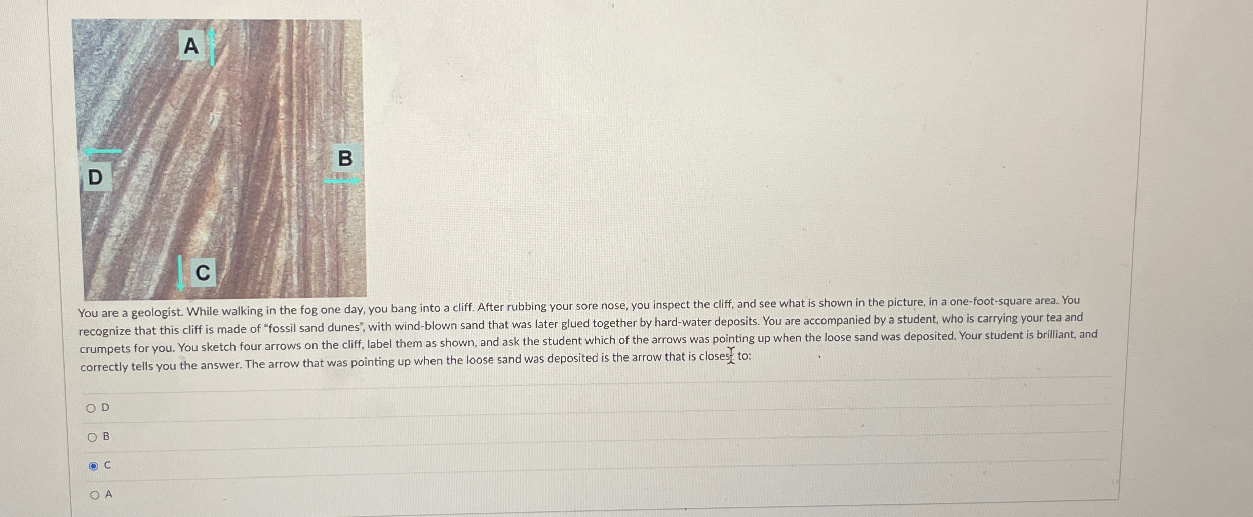 Solved You are a geologist. While walking in the fog one | Chegg.com