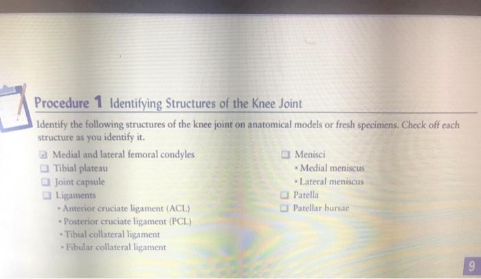 Solved Procedure 1 Identifying Structures of the Knee Joint | Chegg.com