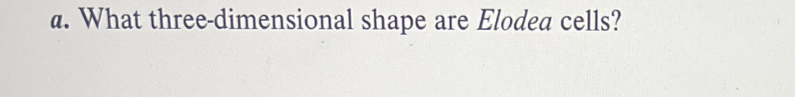 Solved A ﻿what Three Dimensional Shape Are Elodea Cells
