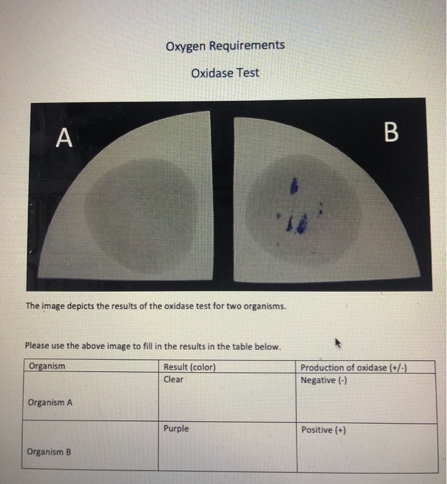 Solved Oxygen Requirements Oxidase Test А B The image | Chegg.com