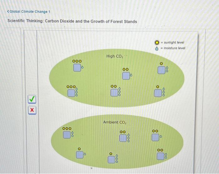 Solved Scientific Thinking: Carbon Dioxide and the Growth of | Chegg.com