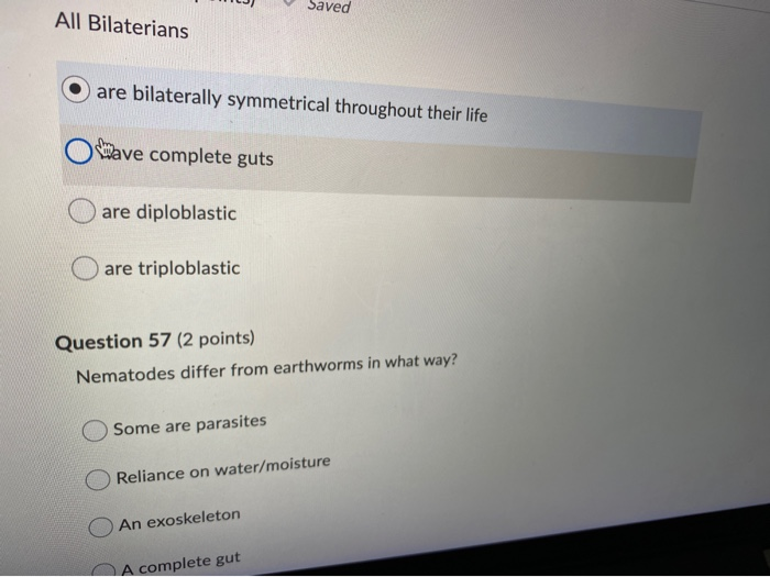 Solved TML) Saved All Bilaterians are bilaterally | Chegg.com
