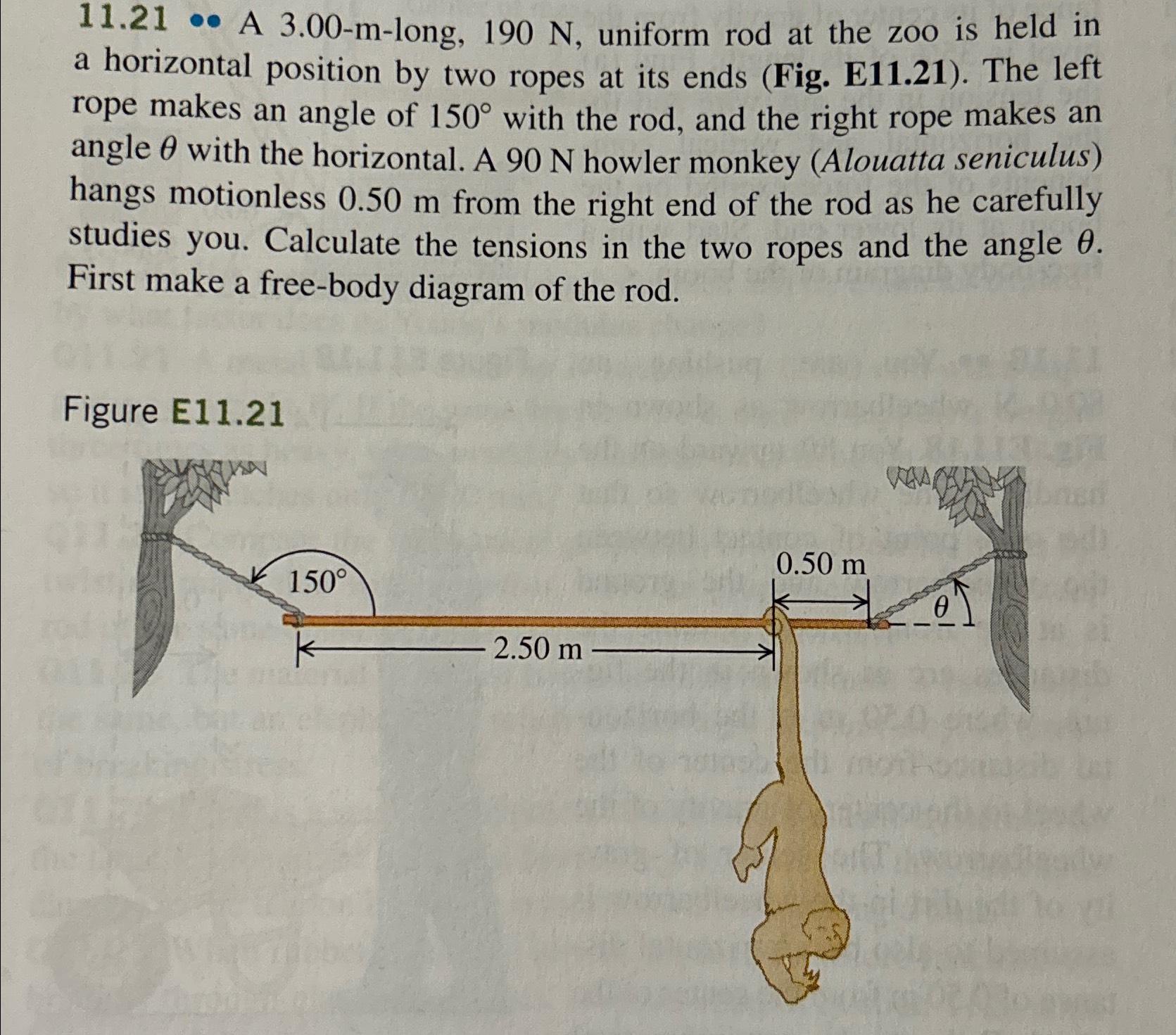 Solved 11.21* ﻿A 3.00 -m-long, 190N, ﻿uniform rod at the zoo | Chegg.com