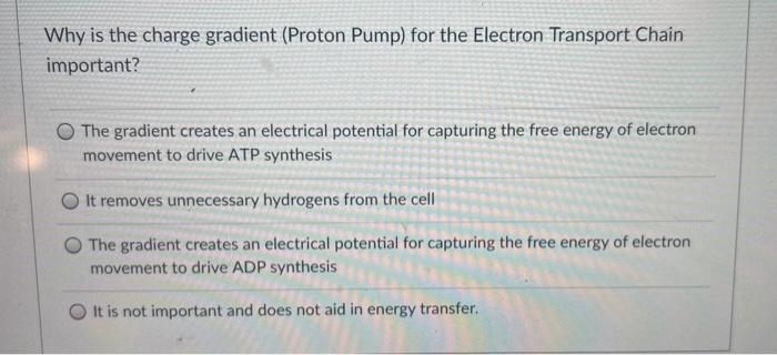 Solved Why is the charge gradient (Proton Pump) for the | Chegg.com