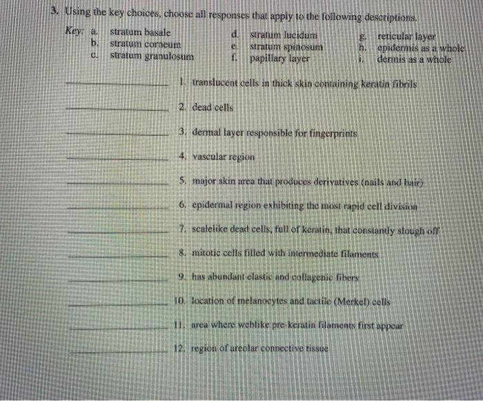 Solved Using the key choices, choose an responses that apply | Chegg.com