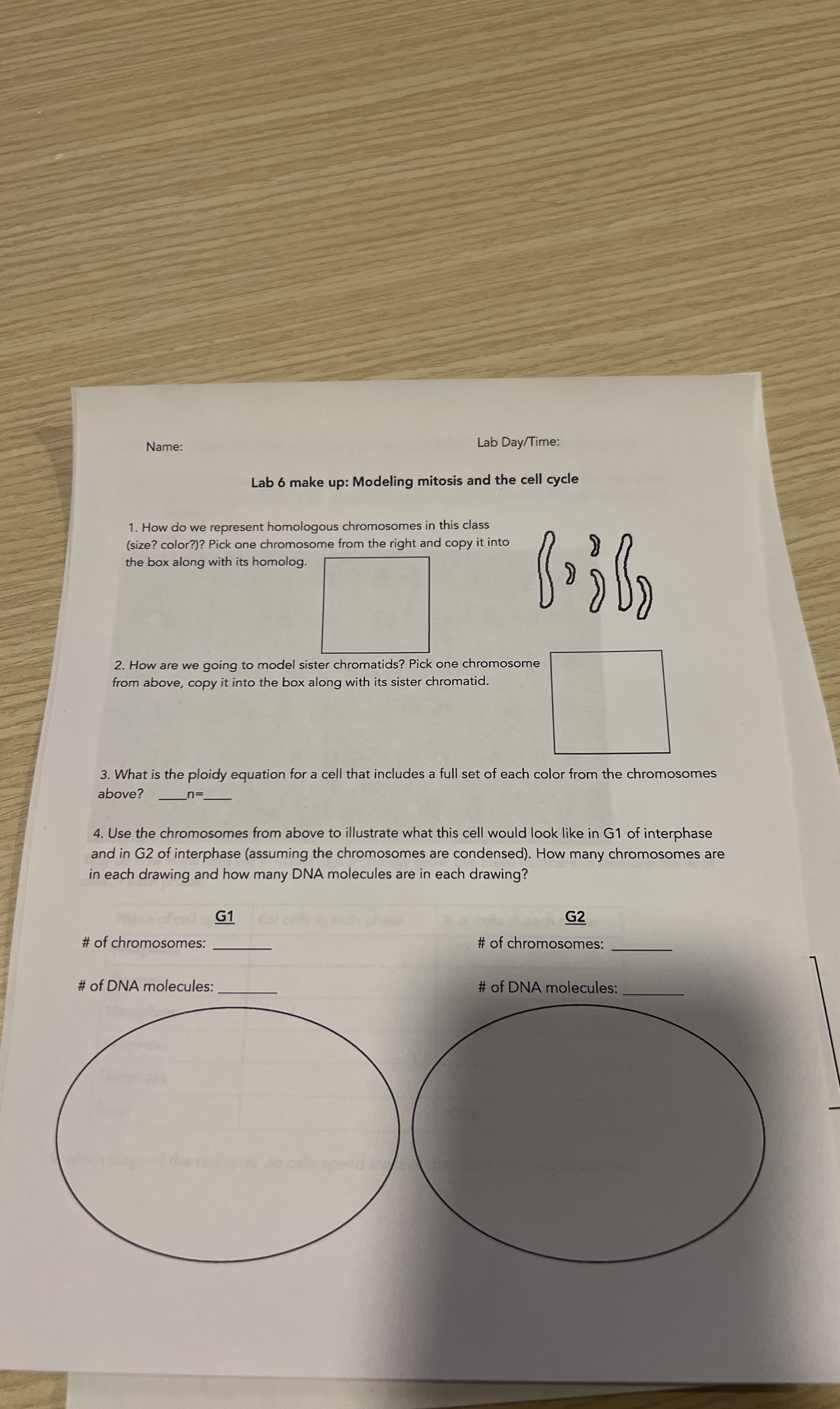 Solved by an EXPERT Name:Lab Day/Time:Lab 6 ﻿make up: Modeling mitosis ...