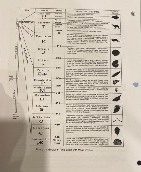 Solved Figure 13: Geologic Time Scale with fossil | Chegg.com