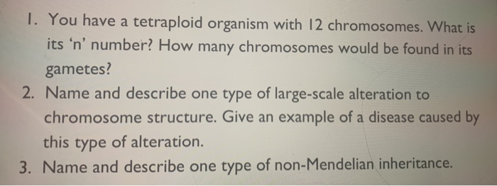 Solved I. You have a tetraploid organism with 12 | Chegg.com