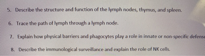 Solved 5 Describe The Structure And Function Of The Lymph Chegg
