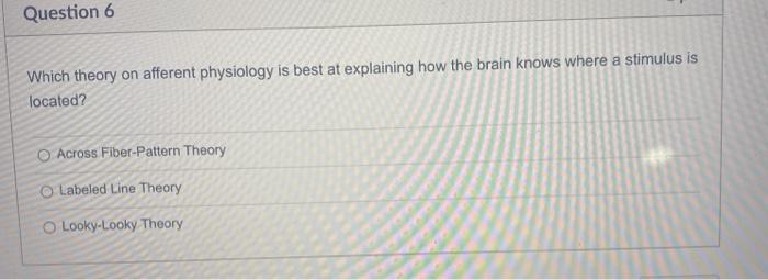 Solved Question 6 Which theory on afferent physiology is | Chegg.com