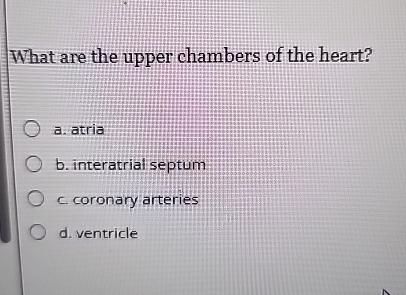 Solved What are the upper chambers of the heart?a. ﻿atriab. | Chegg.com