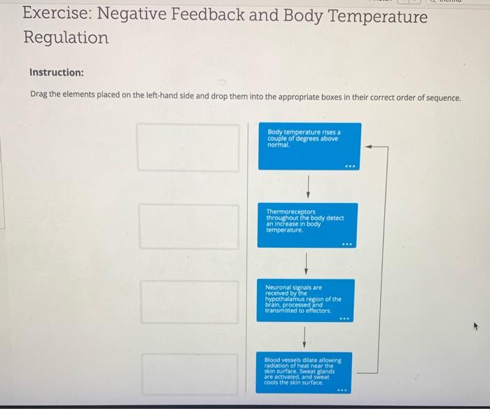 Solved Exercise: Negative Feedback and Body Temperature | Chegg.com