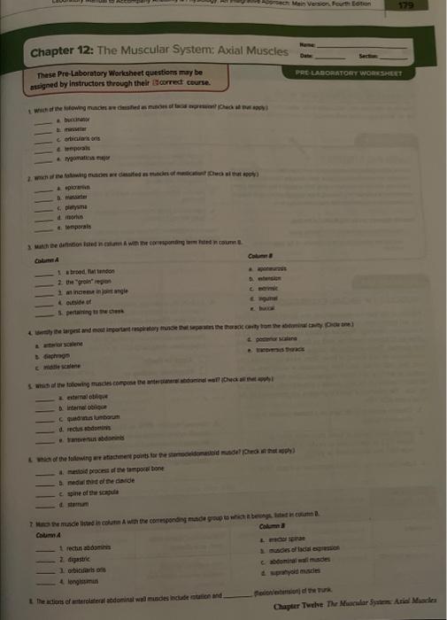 Solved Chapter 12: The Muscular System: Axial Muscles: Thase | Chegg.com