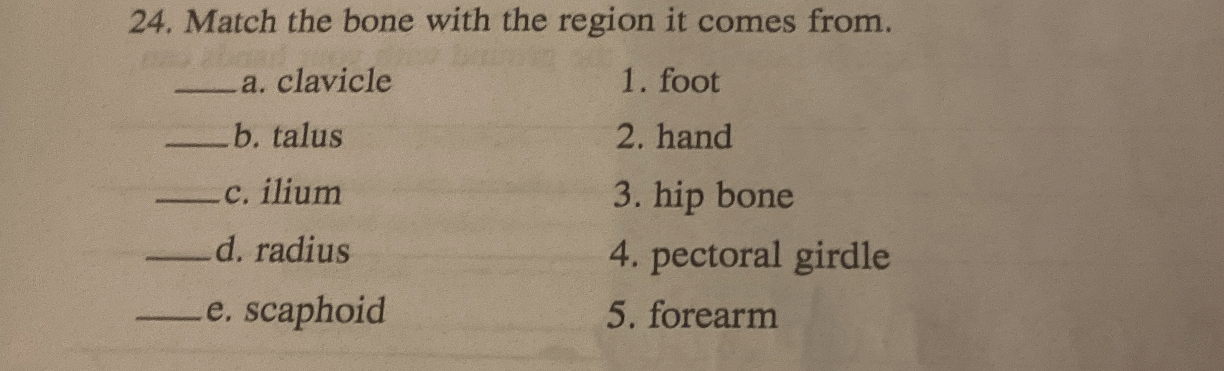Solved Match the bone with the region it comes from.a. | Chegg.com
