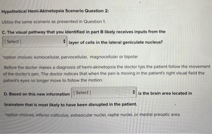 Solved Hypothetical Hemi-Akinetopsia Scenario Question 2: | Chegg.com