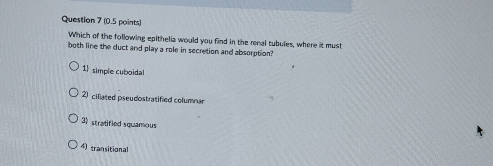 Solved Question 7 ( 0.5 ﻿points)Which of the following | Chegg.com