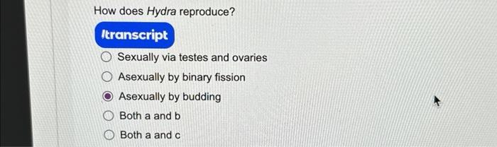 Solved How does Hydra reproduce? Sexually via testes and | Chegg.com