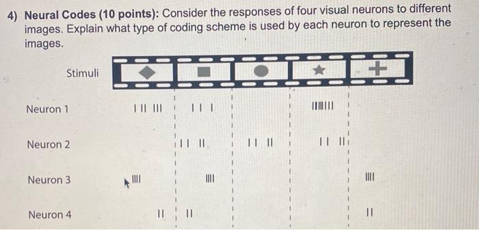 Solved 4) Neural Codes (10 points): Consider the responses | Chegg.com