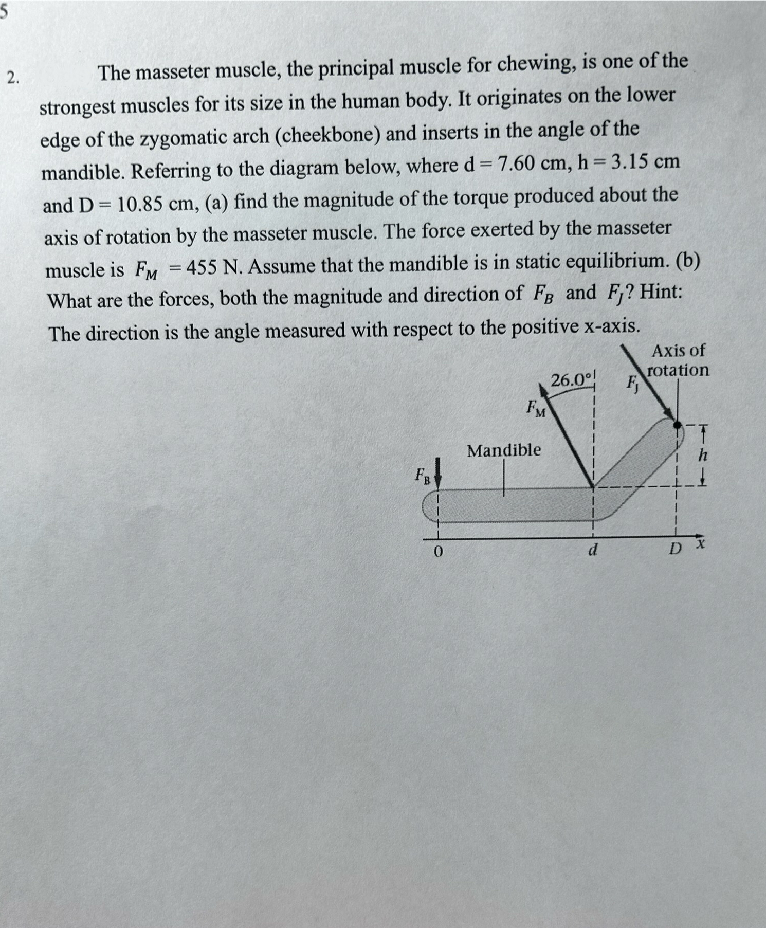 Solved The masseter muscle, the principal muscle for | Chegg.com