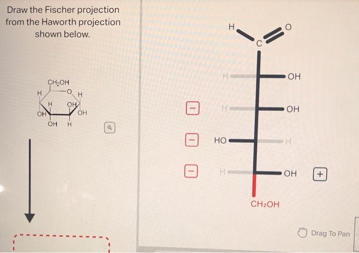 Solved Draw the Fischer projection from the Haworth | Chegg.com