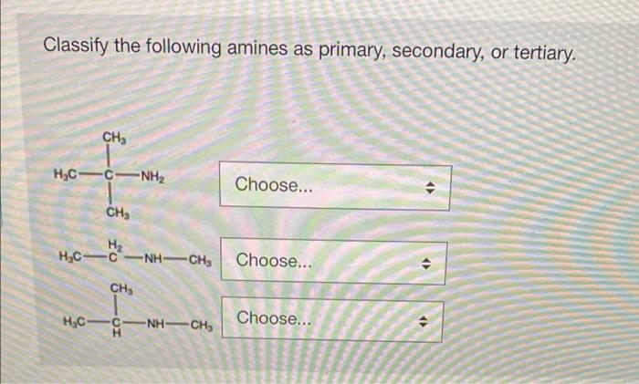 Solved Classify the following amines as primary, secondary, | Chegg.com