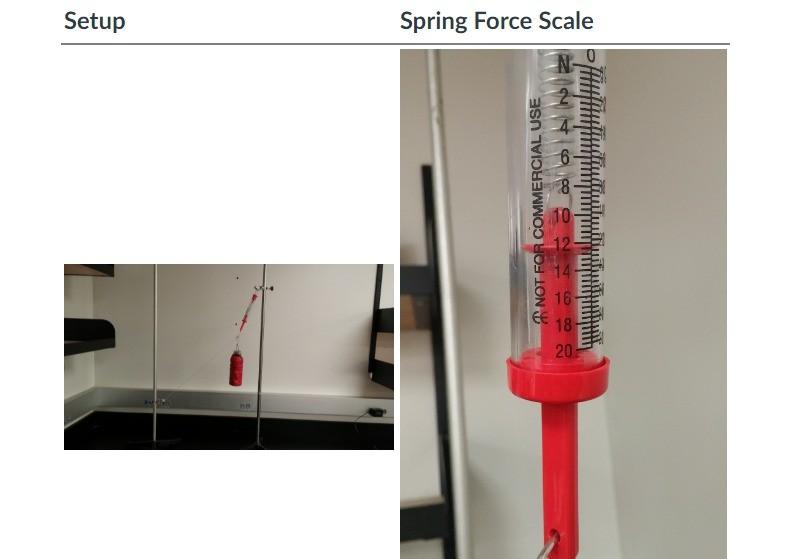 Solved Setup Spring Force Scale NOT FOR COMMERCIAL USE ? ܗ ܙ | Chegg.com