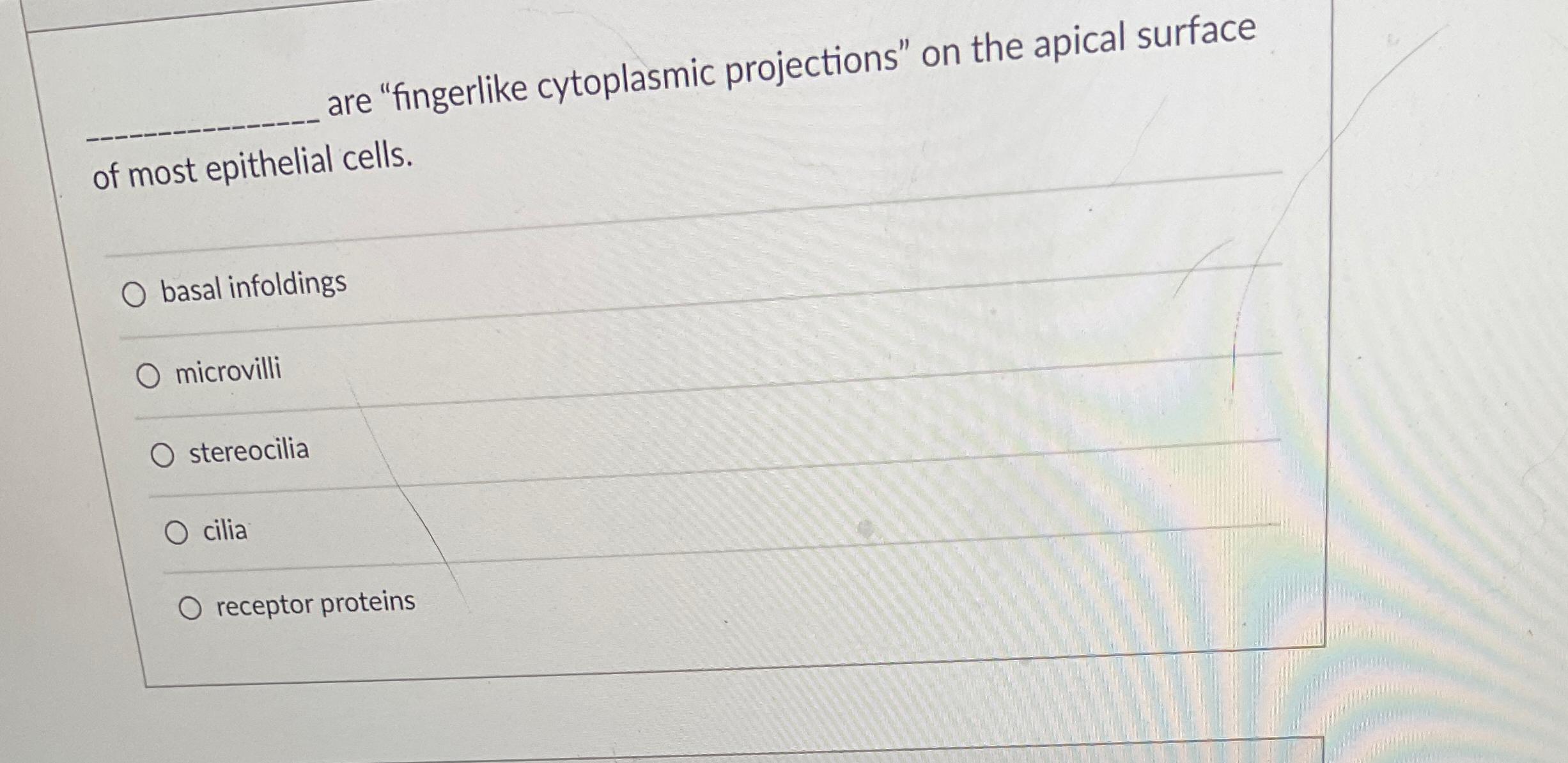Solved are "fingerlike cytoplasmic projections" on the | Chegg.com