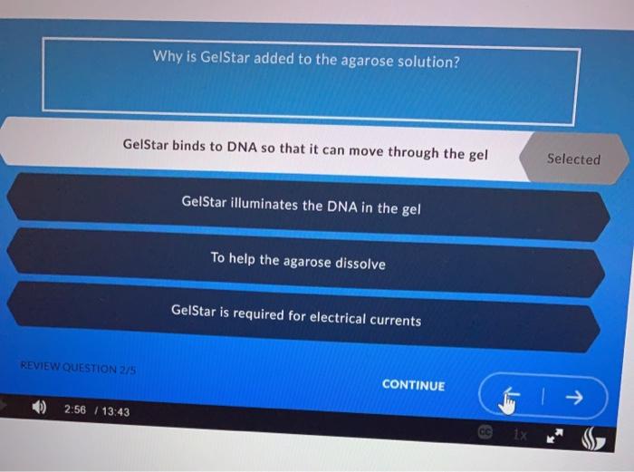 Solved Why is GelStar added to the agarose solution? GelStar | Chegg.com