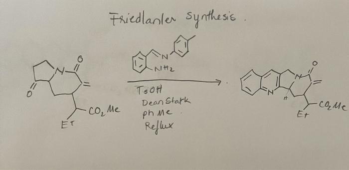 Solved Friedlander synthesis -NH2 0 Ru ·came co, Me TSOH | Chegg.com