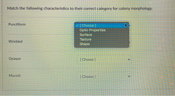 Solved Match the following characteristics to their correct | Chegg.com