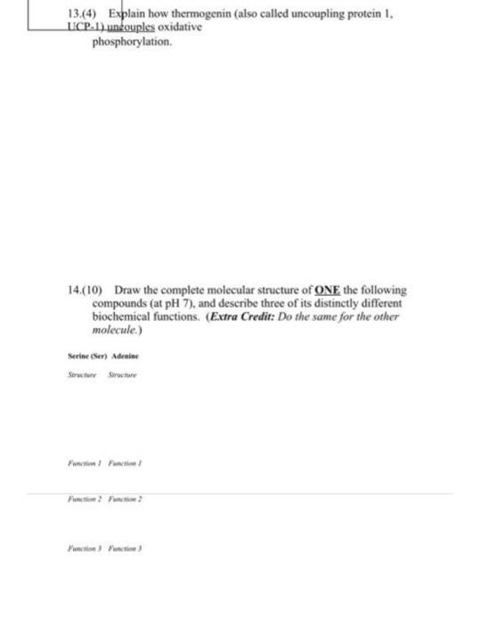 Solved 13.(4) Explain how thermogenin (also called | Chegg.com