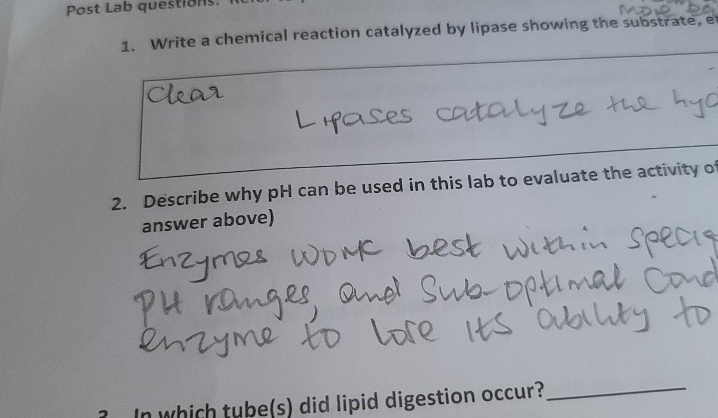 Tube # 1 2 3 4 cream + lipase 5 cream + lipase + bile | Chegg.com