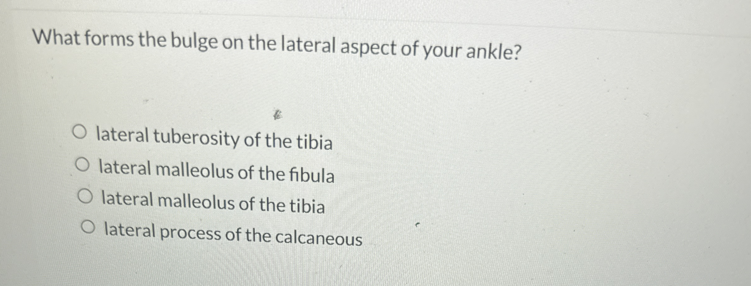 What forms the bulge on the lateral aspect of your | Chegg.com