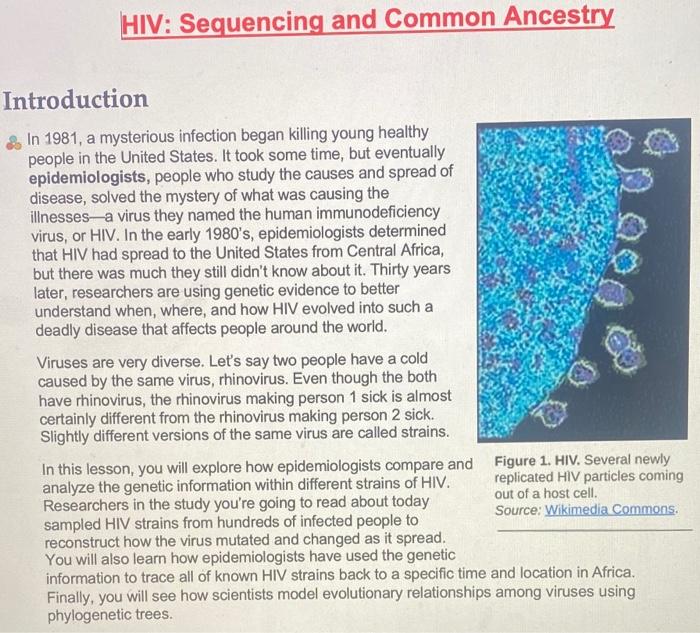 Solved HIV: Sequencing and Common Ancestry In 1981, a | Chegg.com