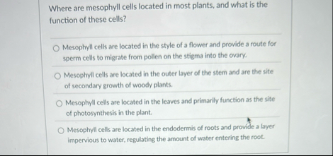 Solved Where are mesophyll cells located in most plants, and | Chegg.com