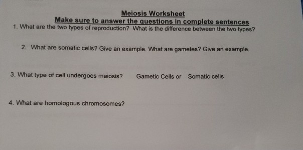 Solved Meiosis Worksheet Make sure to answer the questions | Chegg.com