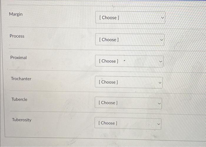 Solved Match the following bone markings with the correct | Chegg.com