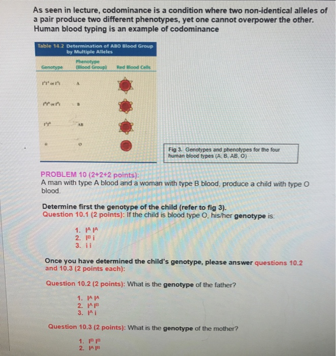 Solved As seen in lecture, codominance is a condition where | Chegg.com