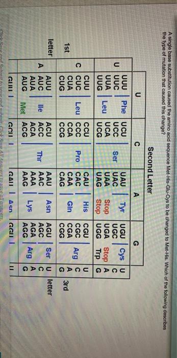 Solved A single base substitution caused the amino acid | Chegg.com