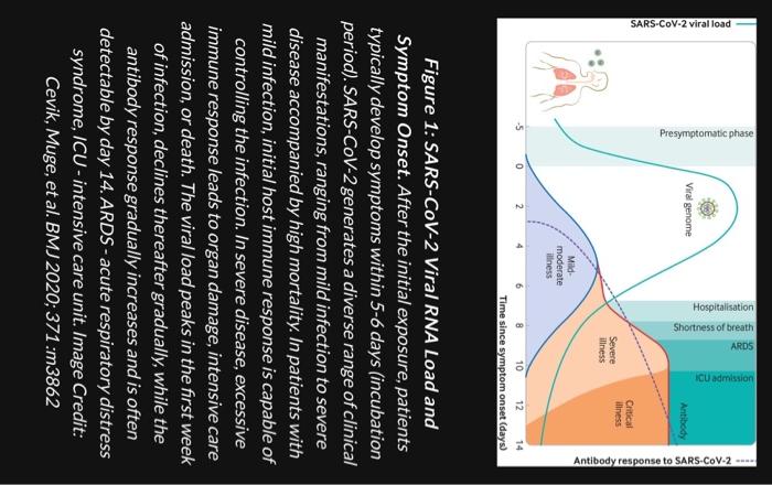 Let's imagine the graph in Figure 2 below represents | Chegg.com