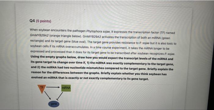Solved When soybean encounters the pathogen Phytophora | Chegg.com