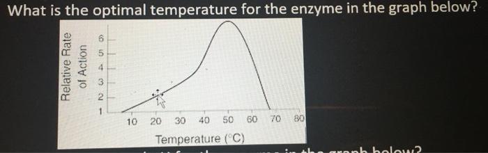 Solved What is the optimal temperature for the enzyme in the | Chegg.com