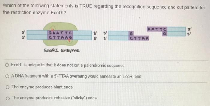 Solved Which of the following is TRUE regarding horizontal | Chegg.com